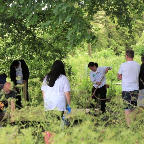 Sustainability | Arval UK